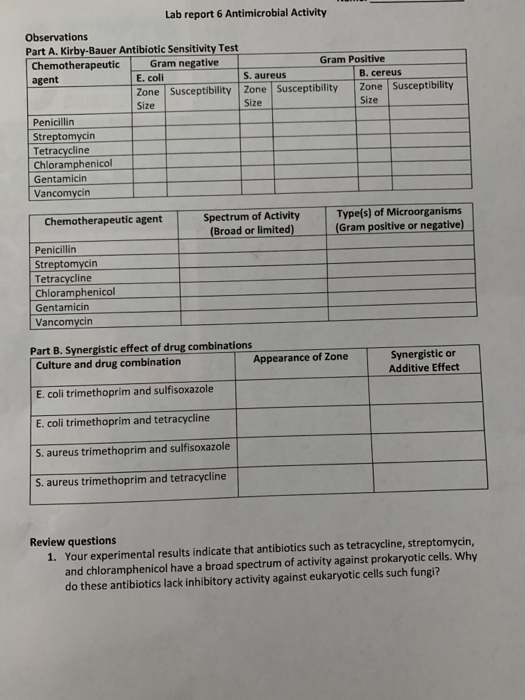 Solved Lab report 6 Antimicrobial Activity Observations Part | Chegg.com