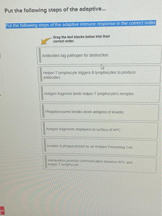 Solved select each true statement regarding... Select each | Chegg.com