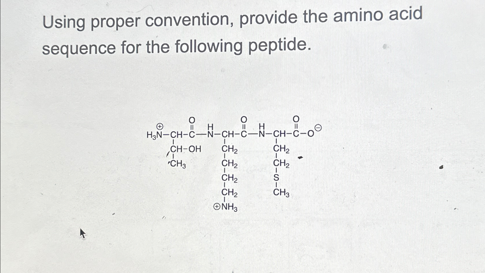 Solved 25. ﻿Using proper convention, provide the amino acid | Chegg.com