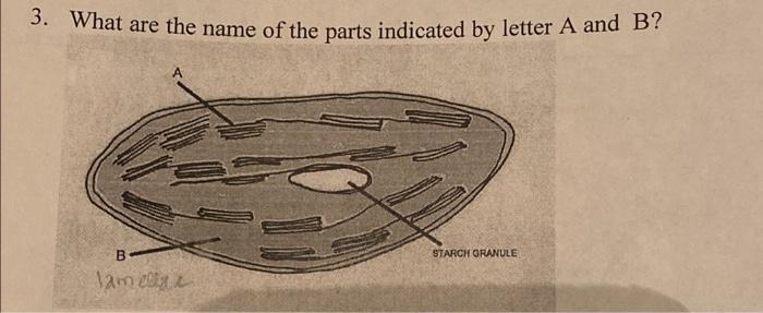 Solved 3. What are the name of the parts indicated by letter | Chegg.com