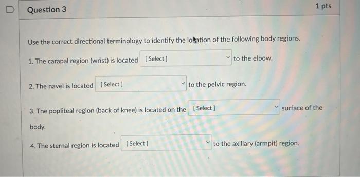 Solved Use the correct directional terminology to identify | Chegg.com