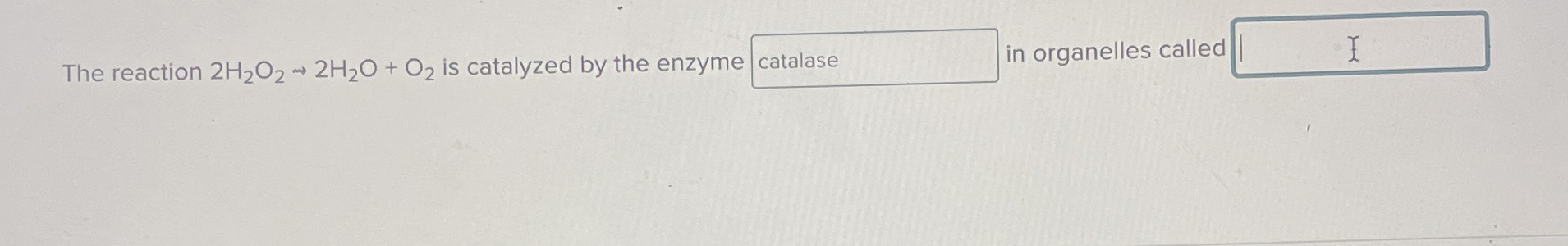 The reaction 2H2O2→2H2O+O2 ﻿is catalyzed by the enzym | Chegg.com