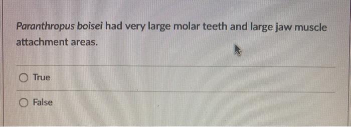 Solved Paranthropus boisei had very large molar teeth and | Chegg.com