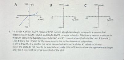 Solved I-V Graph A shows AMPA receptor EPSP current at a | Chegg.com