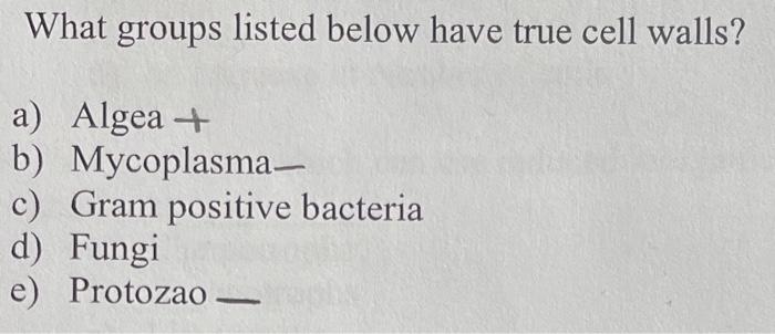 Solved What groups listed below have true cell walls? a) | Chegg.com
