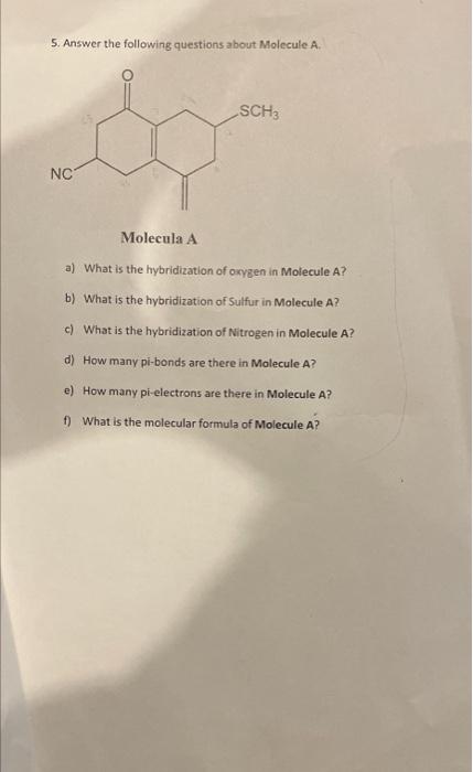 Solved 5. Answer the following questions about Molecule A. | Chegg.com