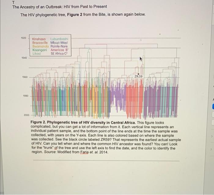 The Ancestry of an Outbreak: HIV from Past to Present | Chegg.com