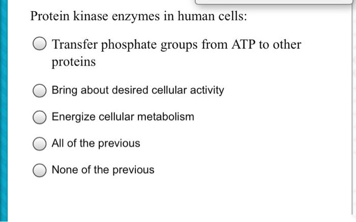 Solved Protein kinase enzymes in human cells: Transfer | Chegg.com
