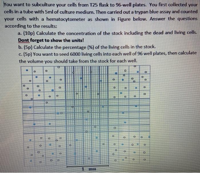 Solved You want to subculture your cells from T25 flask to | Chegg.com