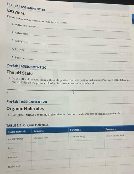 Solved Pre-lab ASSIGNMENT 2B Enzymes Define the following | Chegg.com