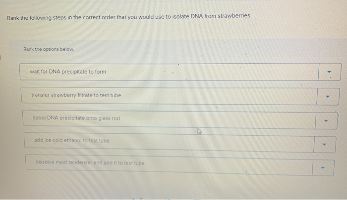 Solved Rank the following steps in the correct order that | Chegg.com Solved Rank the following steps in the correct order that | Chegg.com