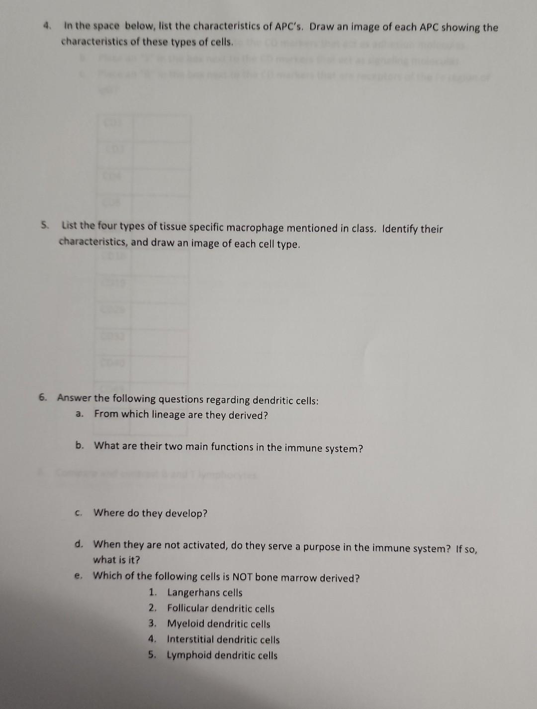 Solved 4. In the space below, list the characteristics of | Chegg.com