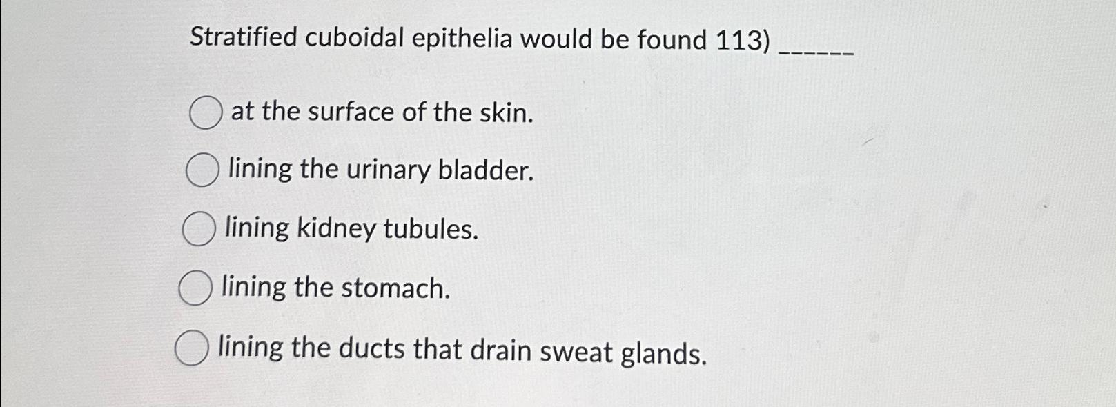 Solved Stratified Cuboidal Epithelia Would Be Found 113 At