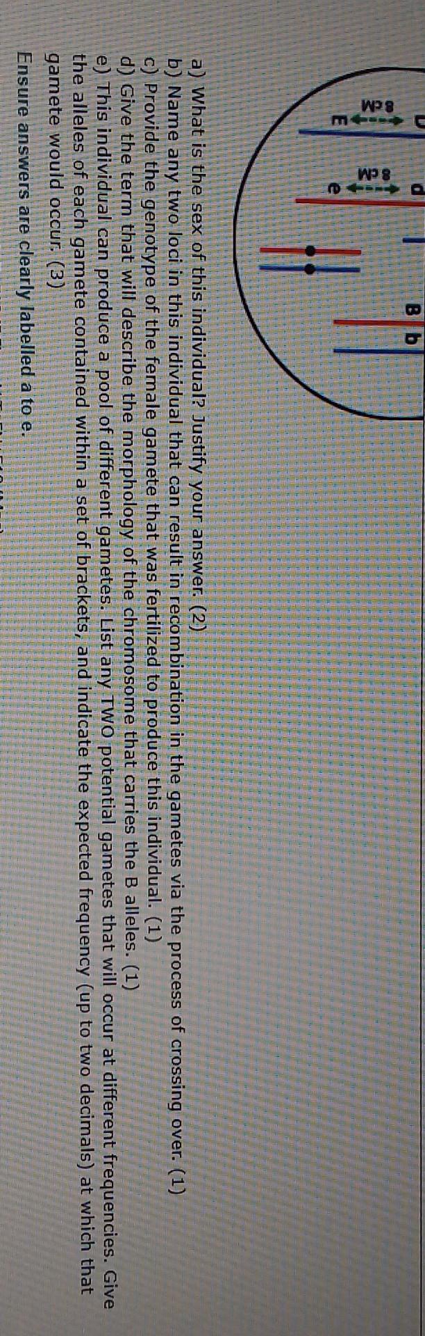 Solved QUESTION 1 8 points Save Answer The picture below | Chegg.com