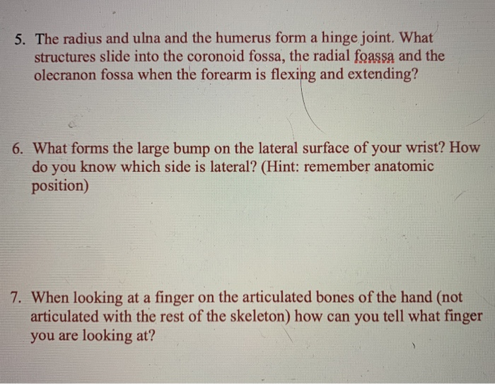 Solved 5. The radius and ulna and the humerus form a hinge | Chegg.com