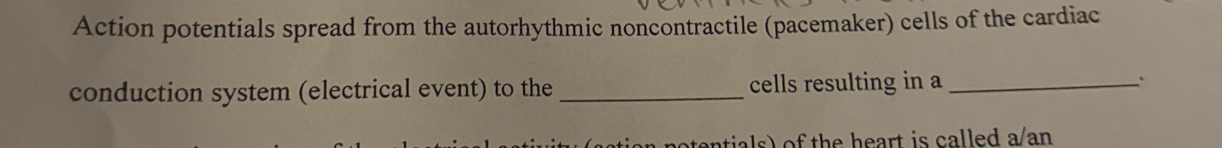 Solved Action potentials spread from the autorhythmic | Chegg.com