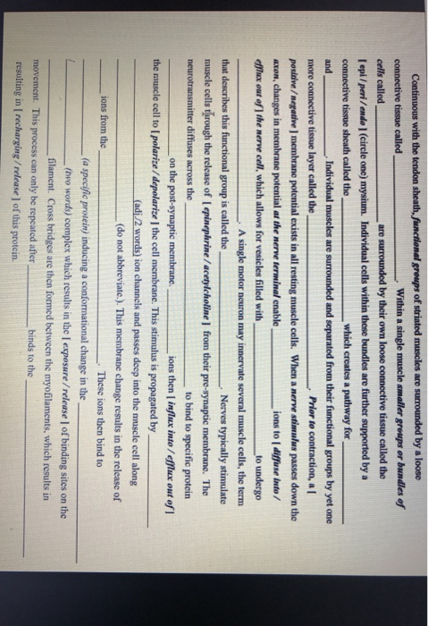 Solved Continuous with the tendon sheath, functional groups | Chegg.com