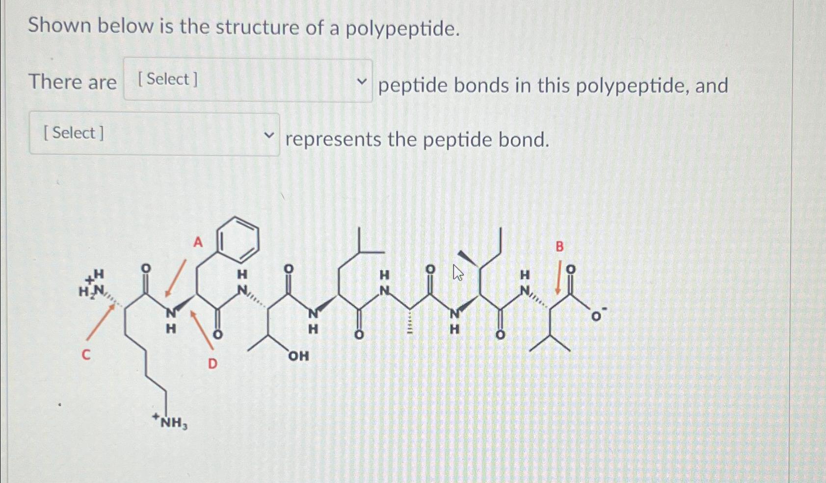 Solved Shown below is the structure of a polypeptide.There | Chegg.com
