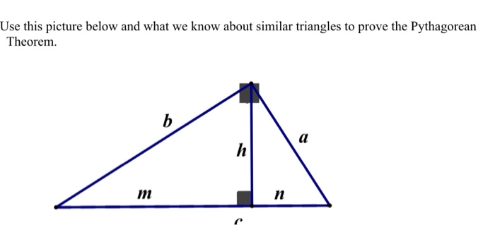 Solved Use this picture below and what we know about similar | Chegg.com