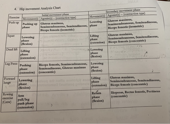 Solved Lifting 4. Hip movement Analysis Chart Secondary | Chegg.com