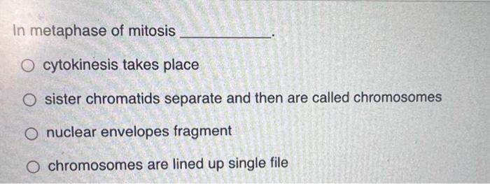 Solved In metaphase of mitosis O cytokinesis takes place O | Chegg.com