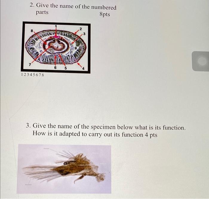 Solved 2. Give the name of the numbered parts 8pts on- 5 1 2 | Chegg.com Solved 2. Give the name of the numbered parts 8pts on- 5 1 2 | Chegg.com