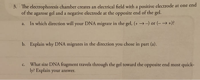 Solved 1. Could the following DNA sequences possibly be | Chegg.com
