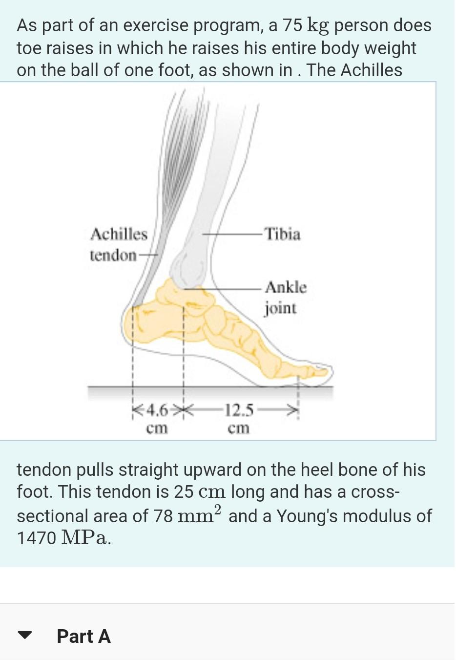 Solved As part of an exercise program, a 75 kg person does | Chegg.com