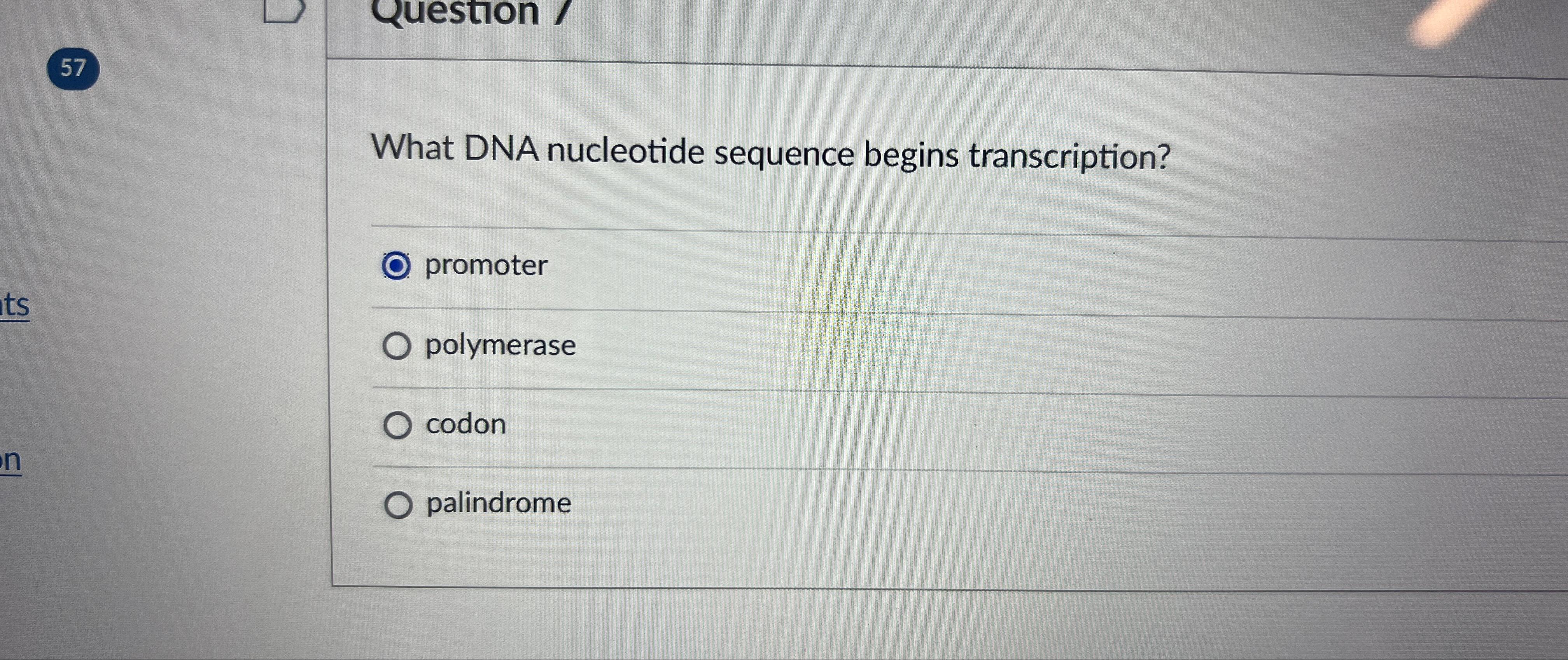 Solved What DNA nucleotide sequence begins | Chegg.com