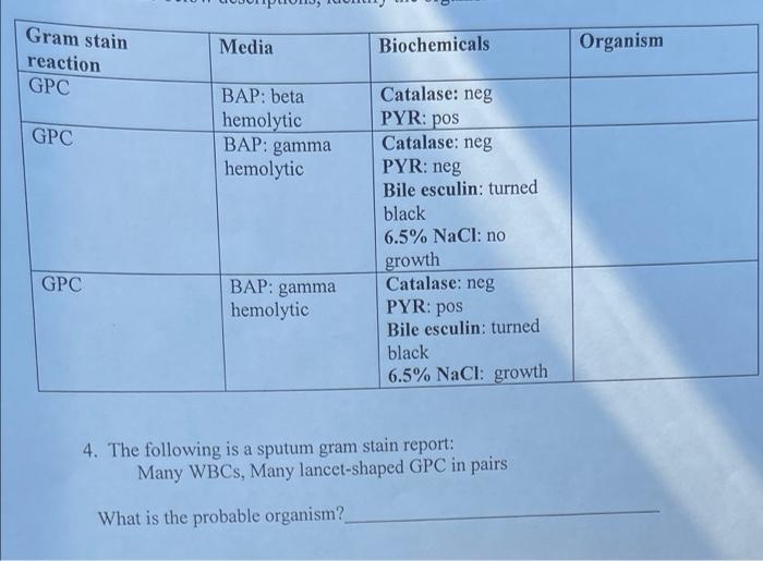 Solved Media Biochemicals Organism Gram stain reaction GPC | Chegg.com