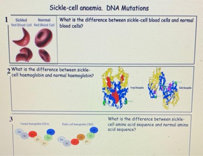 Solved Sickle-cell anaemia. DNA Mutations 1 Sickled Normal | Chegg.com
