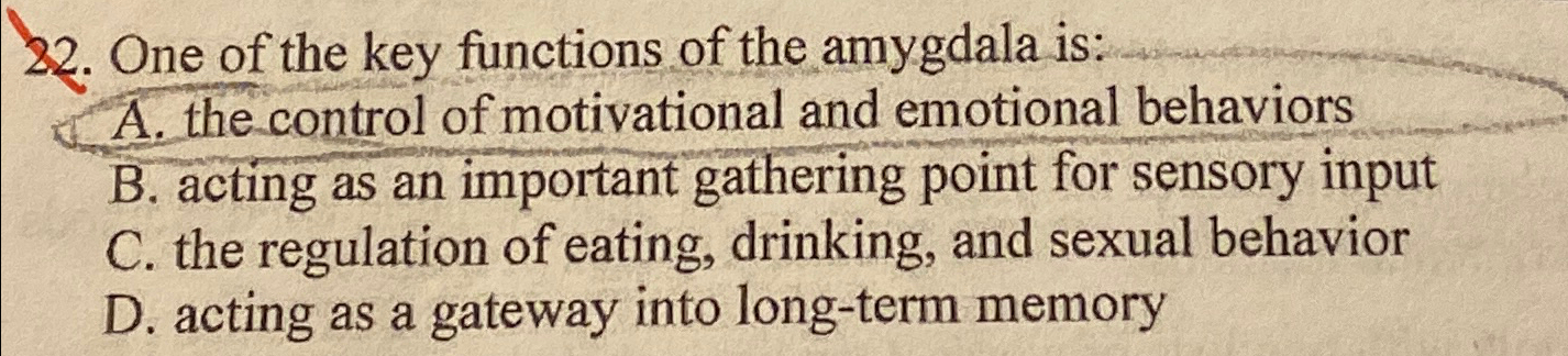 Solved One of the key functions of the amygdala is:A. ﻿the | Chegg.com