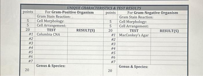 Solved answer following questions for BOTH gram positive and | Chegg.com