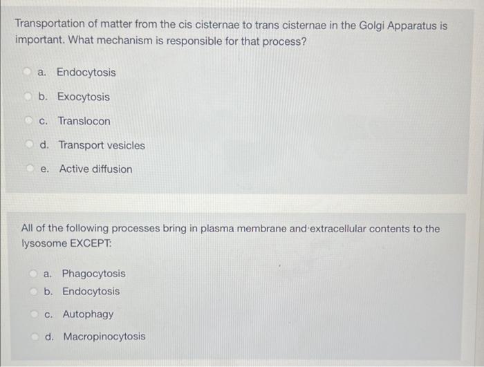 Solved Transportation of matter from the cis cisternae to | Chegg.com