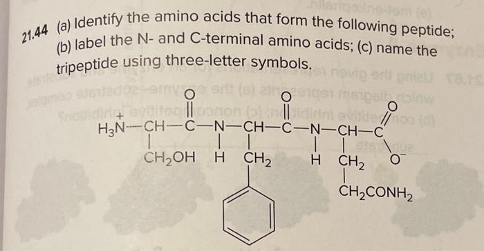 Solved 21.44 (a) Identify the amino acids that form the | Chegg.com