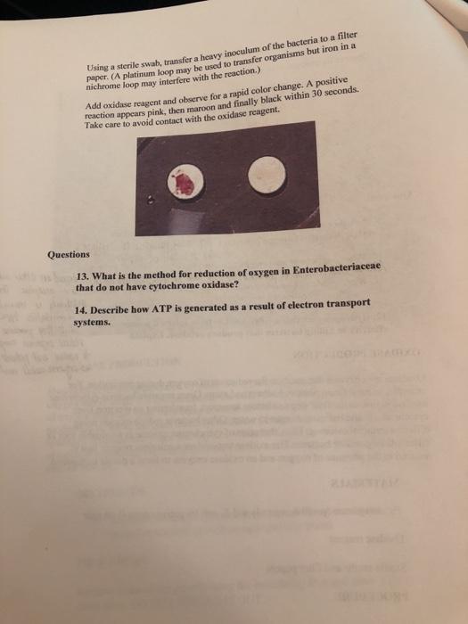 Solved OF (oxidative/fermentative) test This is another way | Chegg.com