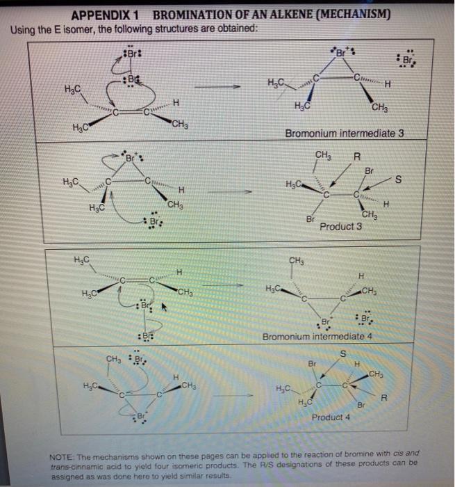 Solved The reaction of cis and trans cinnamic acid with | Chegg.com
