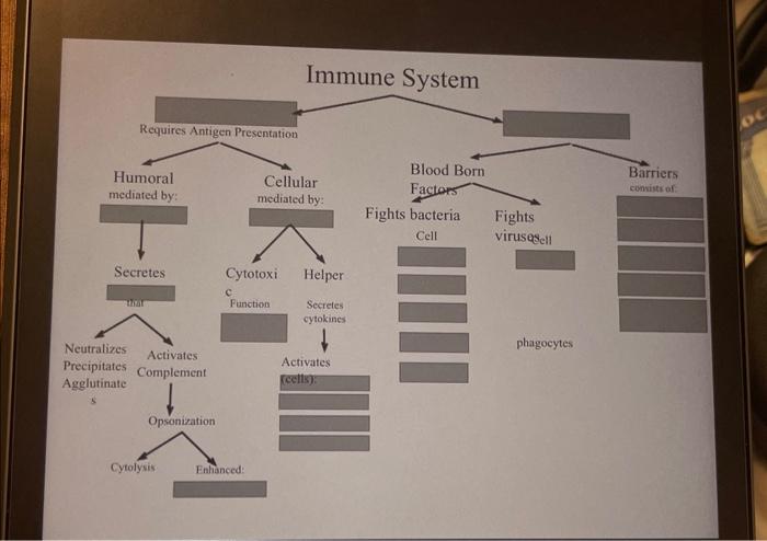 Solved please fill in the blanks immune system : adaptive | Chegg.com