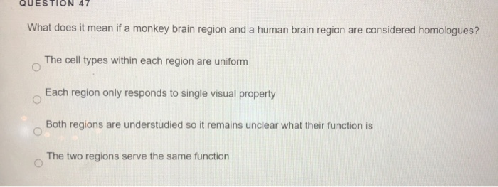 Solved QUESTION 7 According to the geon theory of object | Chegg.com