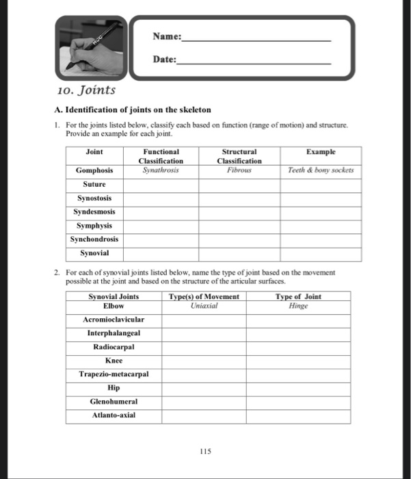 Solved Name: Date: 10. Joints A. Identification of joints on | Chegg.com