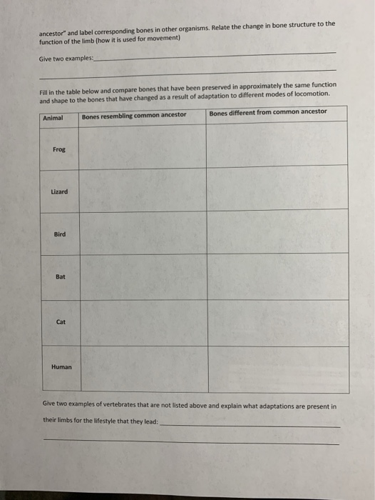 Solved this is lab 14 Evolution and Comparative anatomy. See | Chegg.com