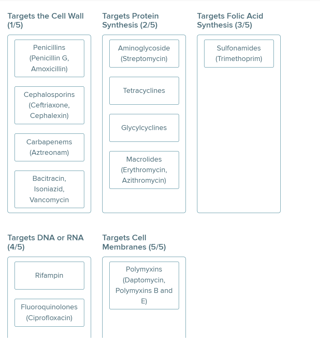 Solved Targets the Cell Wall (1/5) ﻿Targets DNA or RNA (4/5) | Chegg.com