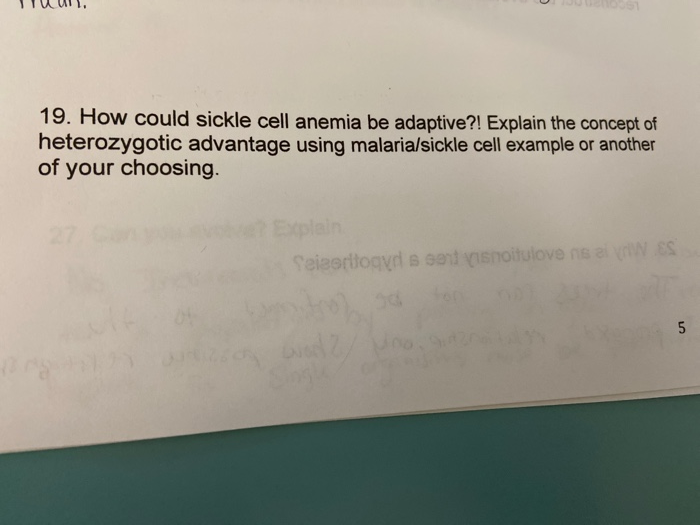 Solved TTU , 19. How could sickle cell anemia be adaptive?! | Chegg.com