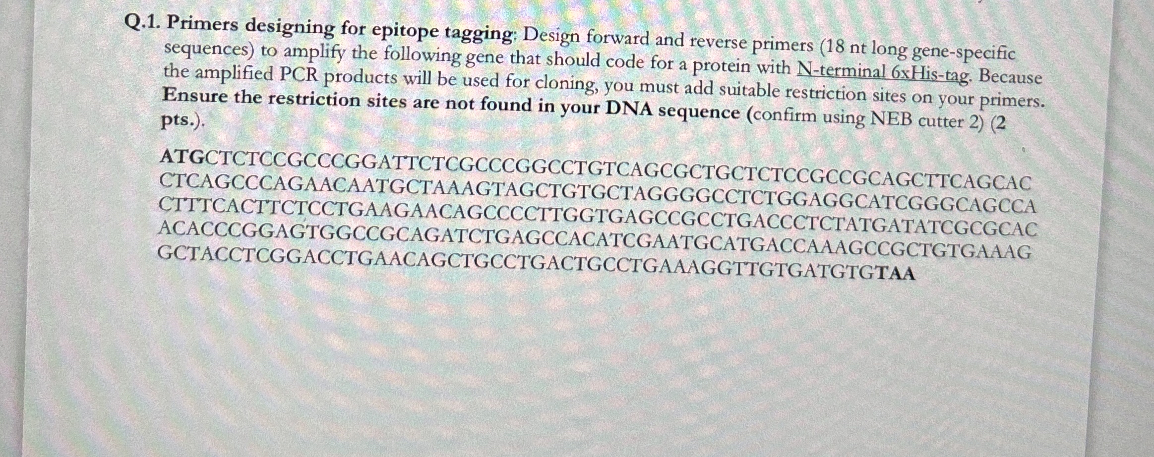 Solved Q.1. ﻿Primers designing for epitope tagging: Design | Chegg.com