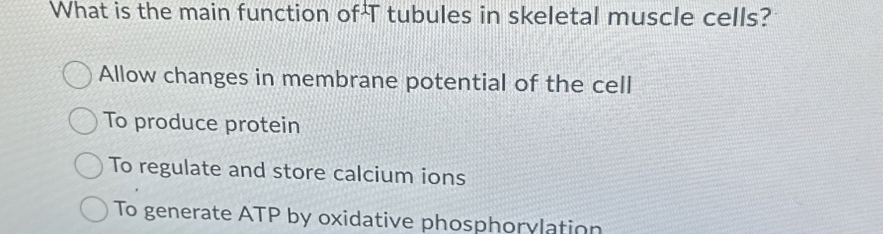 Solved What is the main function of uarr T tubules in | Chegg.com
