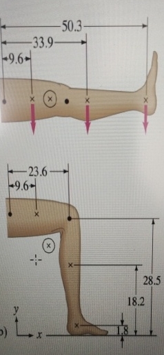 Solved Determine the position of the cM of a whole leg (a) | Chegg.com