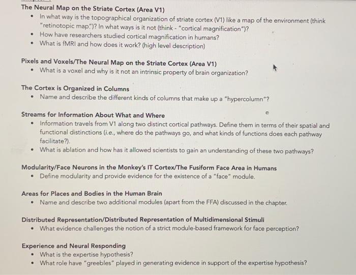 The Neural Map on the Striate Cortex (Area V1) • In | Chegg.com