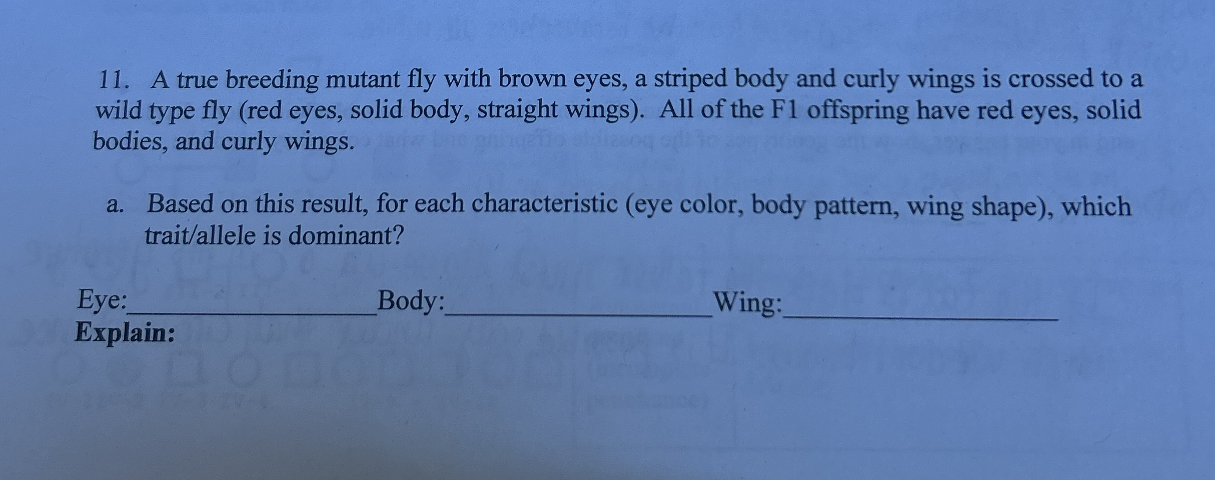 Solved A true breeding mutant fly with brown eyes, a striped | Chegg.com