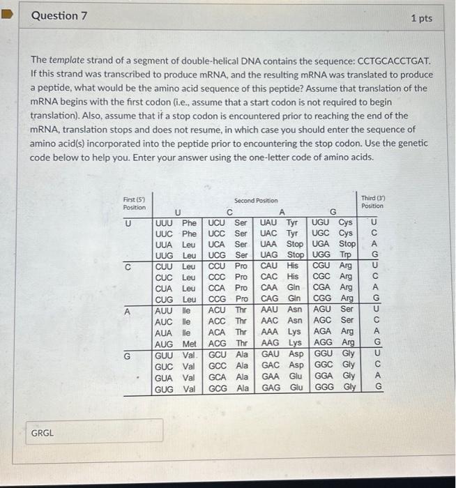 Solved The template strand of a segment of double-helical | Chegg.com