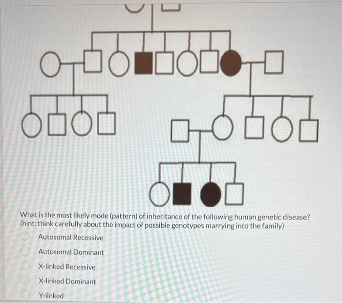 What is the most likely mode (pattern) of inheritance | Chegg.com